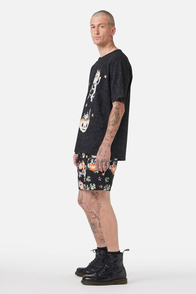 Pumpkin Kitty Tee – Dangerfield NZ