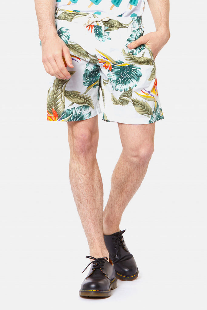 Bird Of Paradise Trunk – Dangerfield NZ