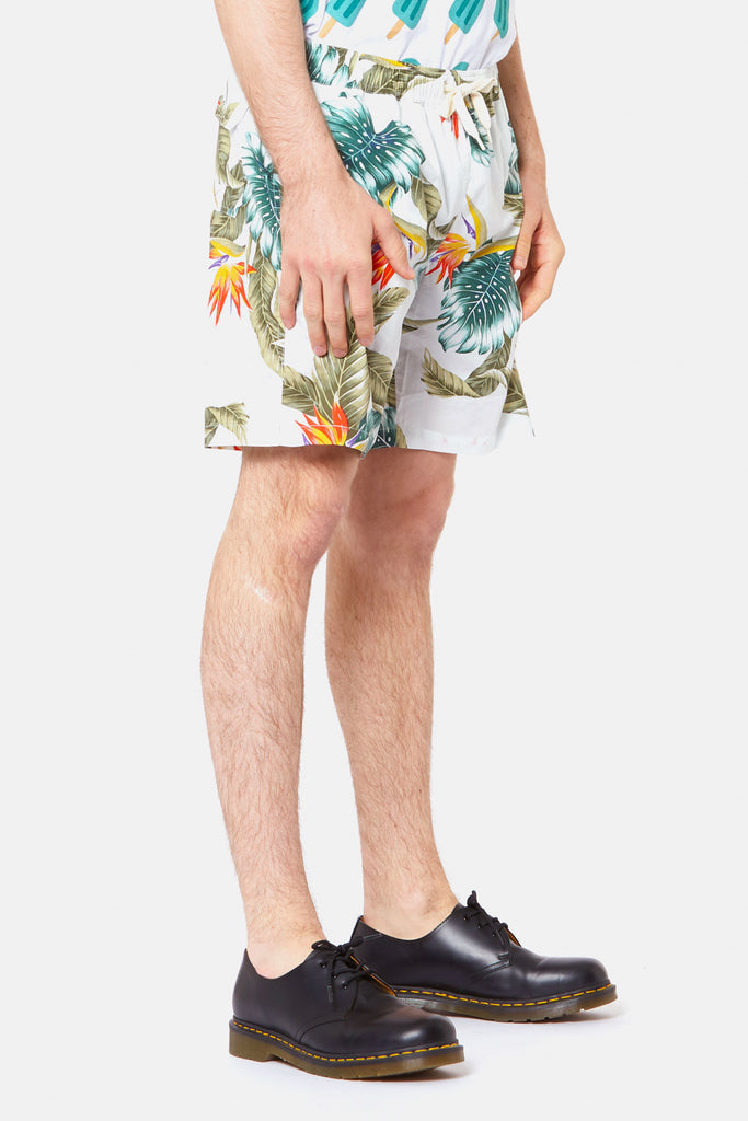 Bird Of Paradise Trunk – Dangerfield NZ