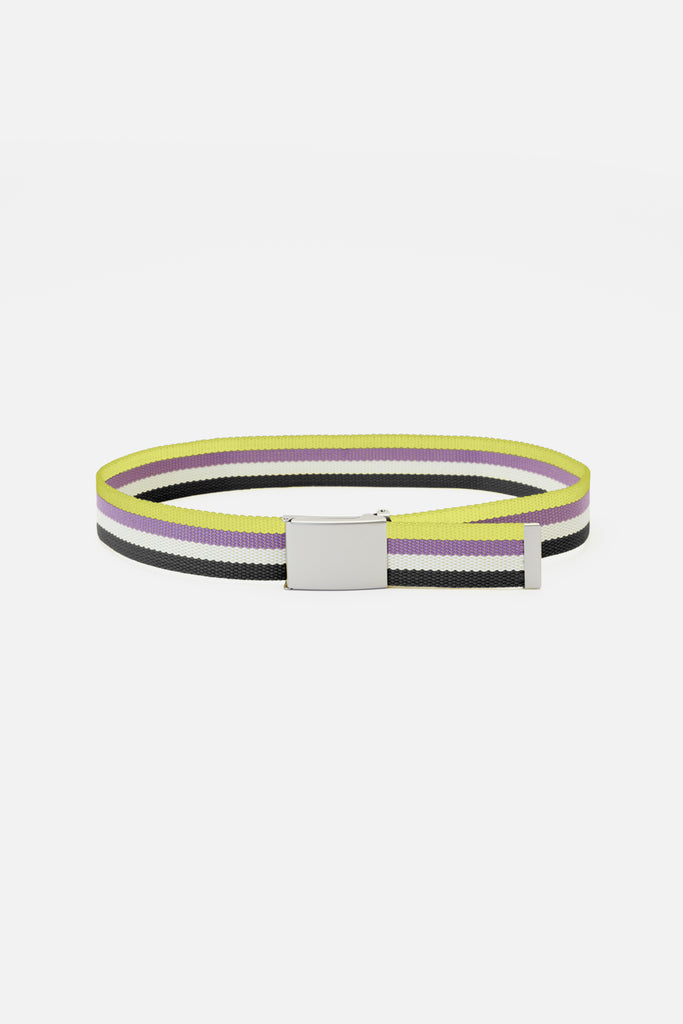 Pride Belt Non Binary – Dangerfield NZ