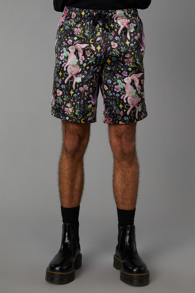 Into The Woods Trunk – Dangerfield NZ