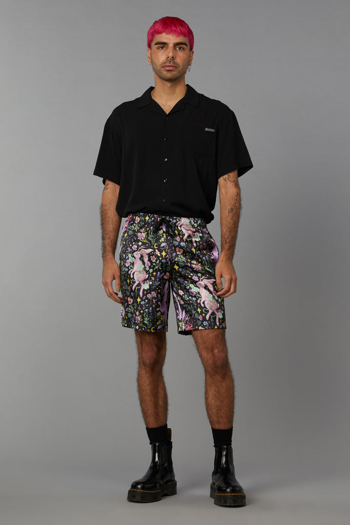 Into The Woods Trunk – Dangerfield NZ